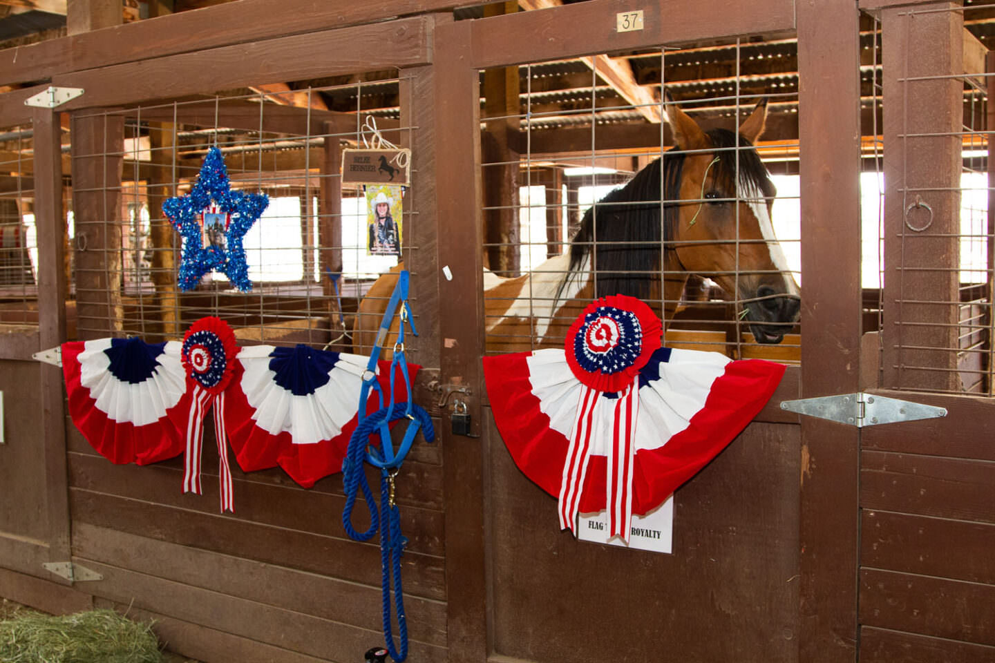 Schedule - DC Fair & Rodeo