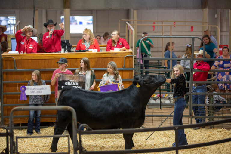 Douglas County Fair & Rodeo in Castle Rock, CO July 26 - Aug. 4