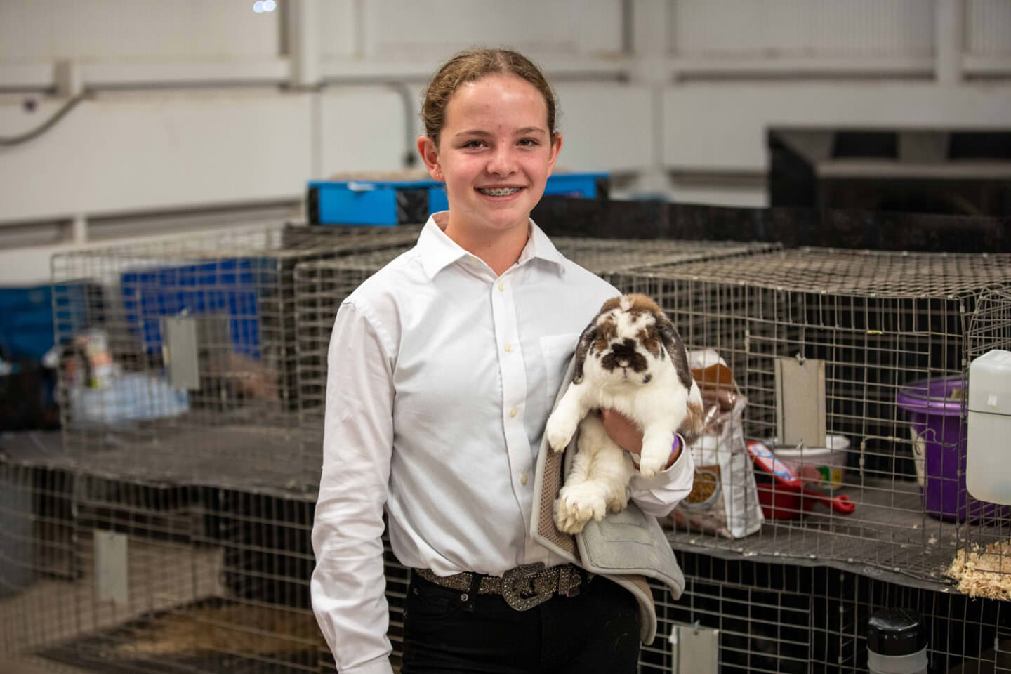 Things To Do - DC Fair & Rodeo