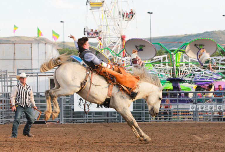 Schedule - DC Fair & Rodeo