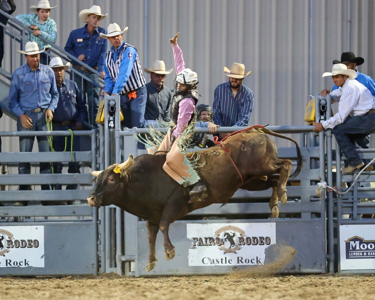 Rodeo Events - DC Fair & Rodeo