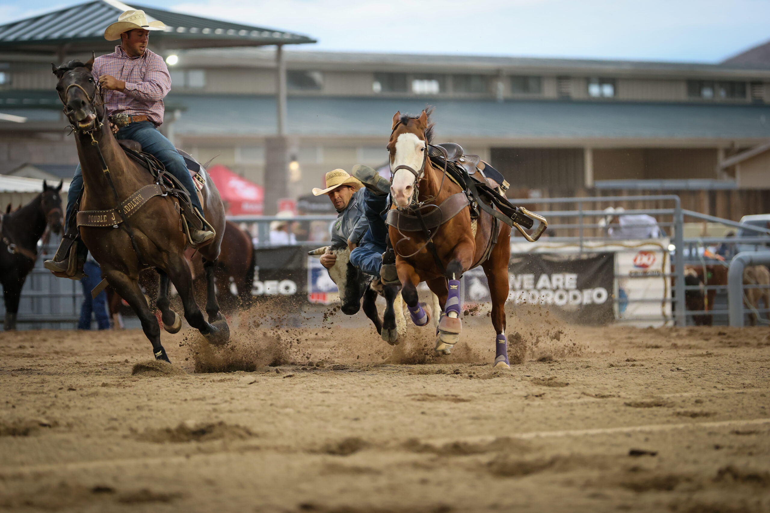 ProRodeo Slack Steer Wrestling & Tie Down Roping - DC Fair & Rodeo